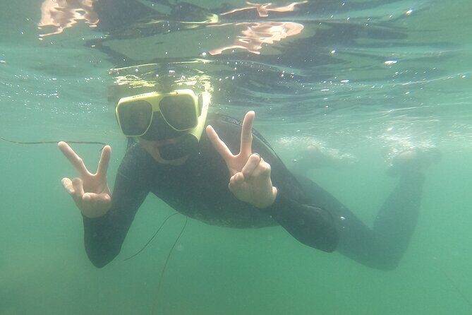 Snorkel San Diego's Mission Bay with a Marine Biologist - FAQ