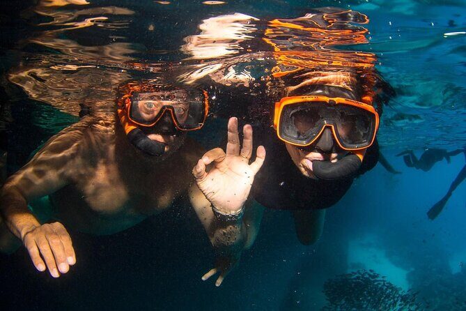 Snorkel Shore Trip with Scubaçao "East Point" - Final Thoughts: Is It Worth It?