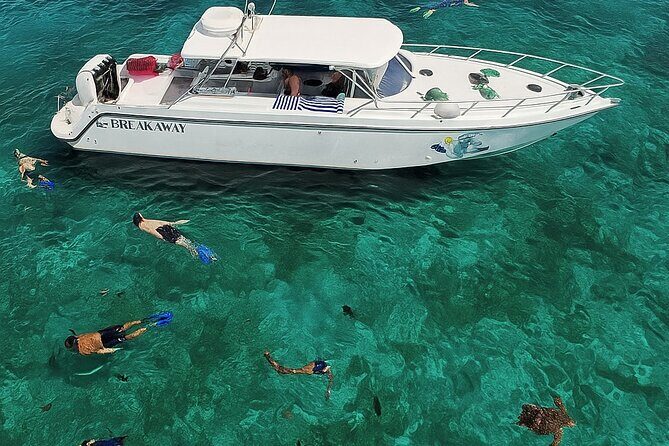 Snorkel St. John Tour from Sapphire and Margaritaville - Food and Drinks: A Caribbean Feast