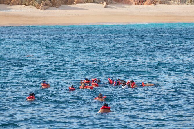 Snorkel & Sunset Sail in Cabo San Lucas - The Sum Up