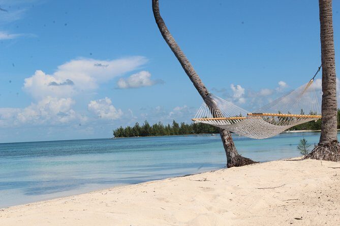 Snorkel/Swim with the Turtles Experience - Why This Tour Stands Out