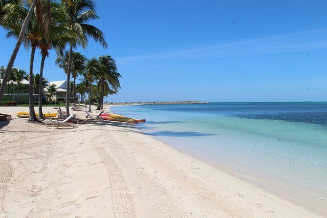 Snorkel/Swim with the Turtles Experience - The Sum Up