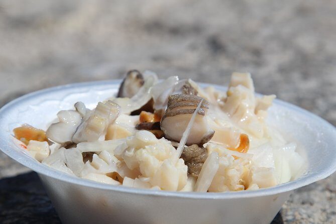 Snorkel/Swim with the Turtles Experience - FAQs