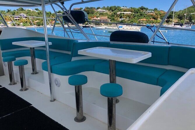 Snorkel & Swim with Turtles. Semi Private Tour to Buck Island & Honeymoon Beach - Who Should Consider This Tour?