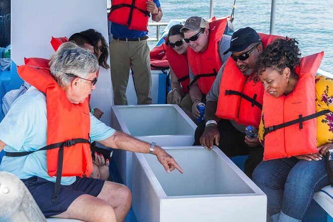 Snorkel Tour and Glass-Bottom Boat Ride in Cabo San Lucas - Who Will Love This Tour?