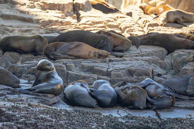 Snorkel Tour and Glass-Bottom Boat Ride in Cabo San Lucas - The Sum Up