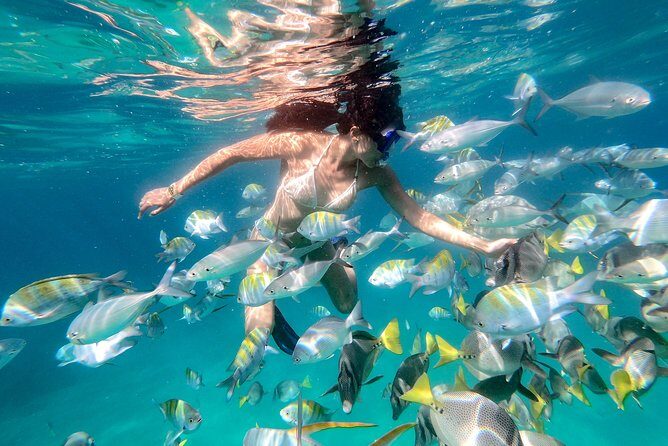 Snorkel Tour and Glass-Bottom Boat Ride in Cabo San Lucas - FAQ