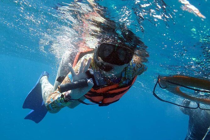 Snorkel Tour at Musa and Manchones Reef - Reefs and Marine Life