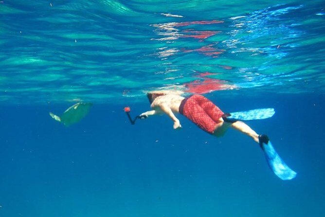 Snorkel Tour - Detailed Breakdown of the Snorkel Tour Experience