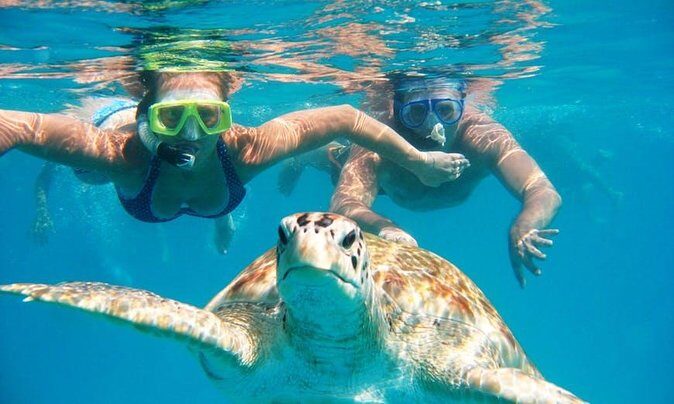 Snorkel Tour in Curacao - Key Points