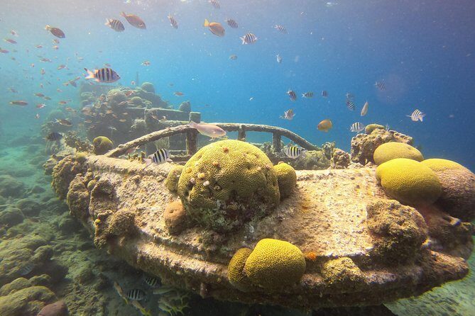 Snorkel Tour in Curacao - Exploring Curacao’s Underwater World: What’s Included and What to Expect