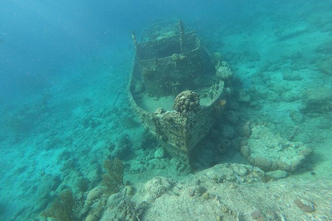 Snorkel Tour in Curacao - The Sum Up: Is This Snorkel Tour in Curacao Right for You?