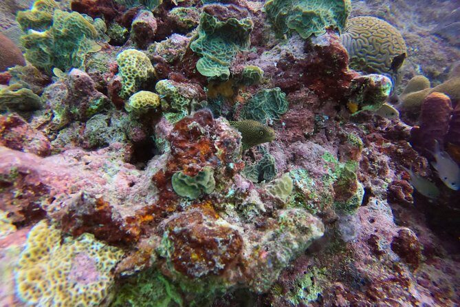 Snorkel Tour in Curacao - FAQ