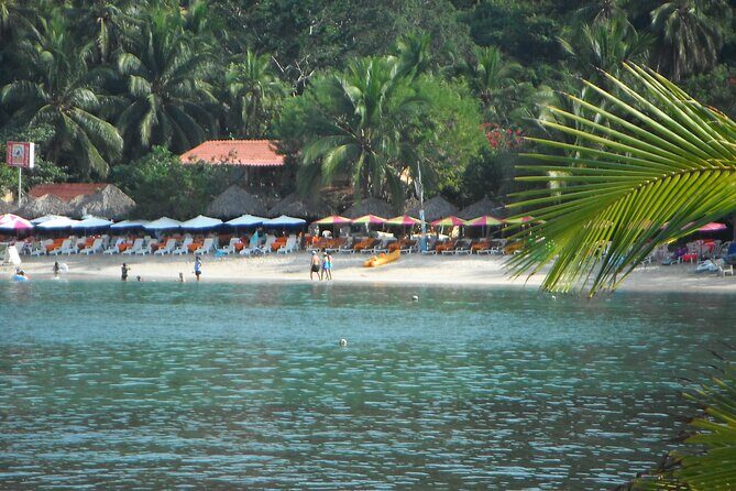 Snorkel Tour in Las Gatas Water Break - What’s Included and What’s Not