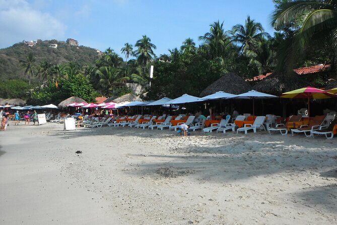 Snorkel Tour in Las Gatas Water Break - Final Thoughts: Is It Worth It?