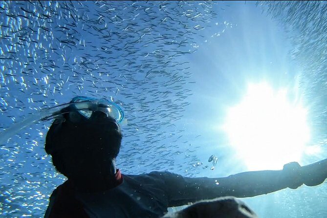 Snorkel Tour in Paraggi Bay - What Is This Snorkel Tour All About?