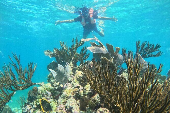 Snorkel Tour on the Costa Maya with experienced Guid - Frequently Asked Questions