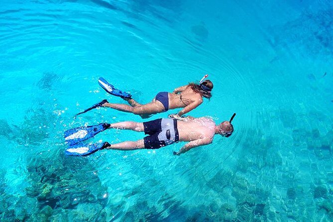 Snorkel Tour - San Jose del Cabo - What Makes This Snorkel Tour Stand Out