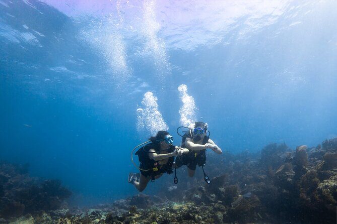 Snorkel Tour - Visit 2 Shallow Reefs John Pennekamp State Park - What to Expect and How It Adds Value