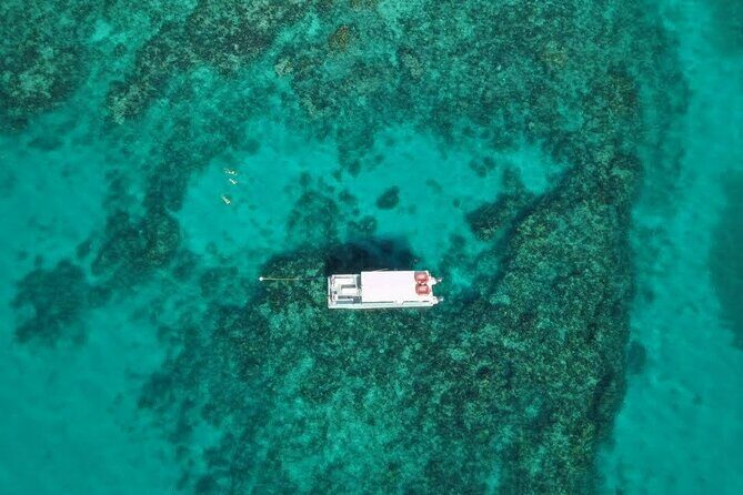 Snorkel Tour - Visit 2 Shallow Reefs John Pennekamp State Park - Authentic Feedback from Real Travelers