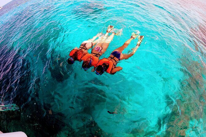 Snorkel Tour - Visit 2 Shallow Reefs John Pennekamp State Park - The Sum Up