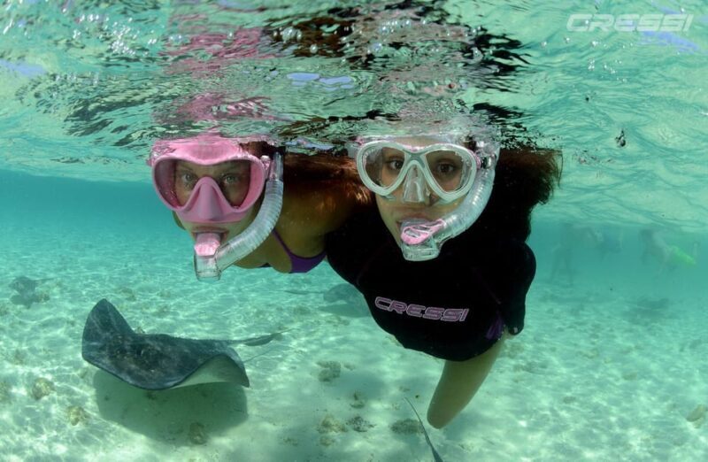 Snorkel tour Why not? - What is this snorkeling tour about?