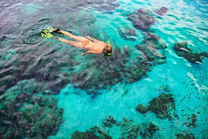 Snorkel Tours to Shallow Coral Reefs at Pennekamp Underwater Park - Who This Tour Is Best For