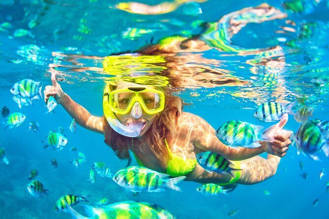 Snorkel Tours to Shallow Coral Reefs at Pennekamp Underwater Park - FAQ