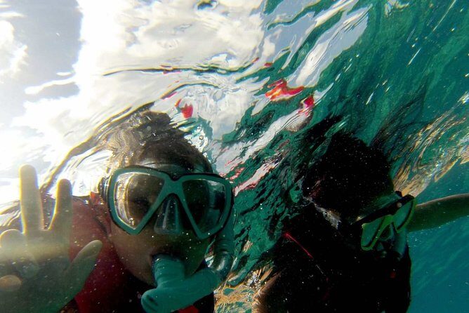 Snorkel trip + natural pool Bávaro - Introduction: A Friendly Look at the Snorkel & Natural Pool Tour in Bávaro