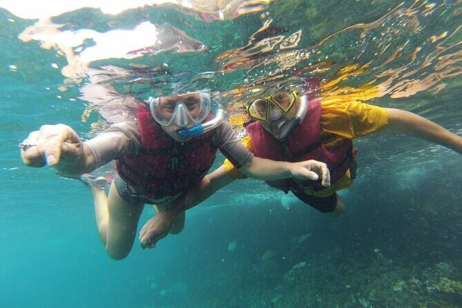 Snorkel trip + natural pool Bávaro - The Itinerary: What You Can Expect from Start to Finish