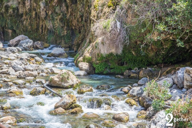 Snorkel trip to the Kourtaliotiko Waterfalls Plakias - Authentic Reviews and Real Traveler Insights