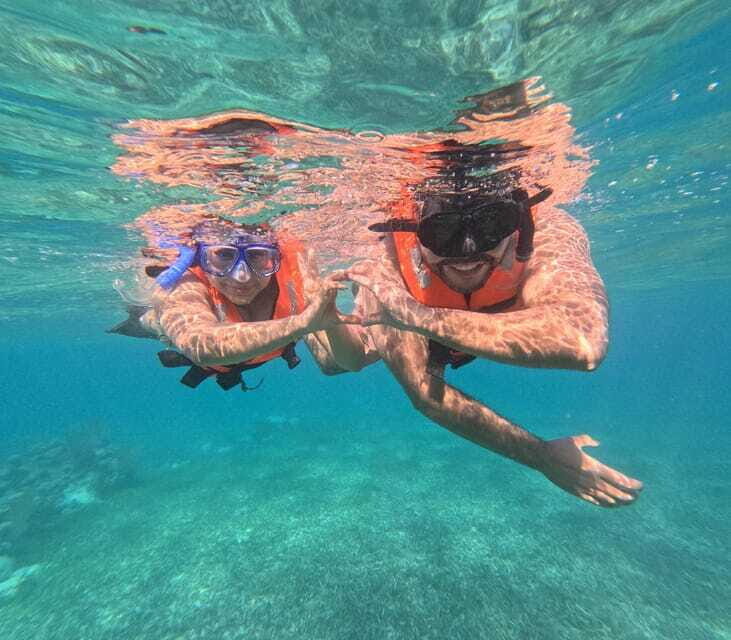 snorkel with tropical fish, reefs, and in search of turtles - FAQ