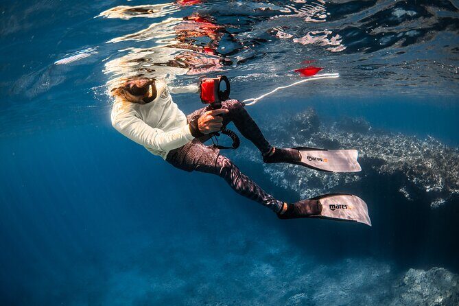 Snorkel with Turtles and Free Underwater Photos Lahaina - FAQ