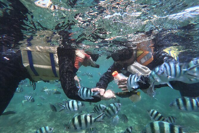 Snorkeling 3 Gili West Lombok Daily Tour (Gili Nanggu, Gili Sudak, Gili Kedis) - The Itinerary Breakdown: Step-by-Step