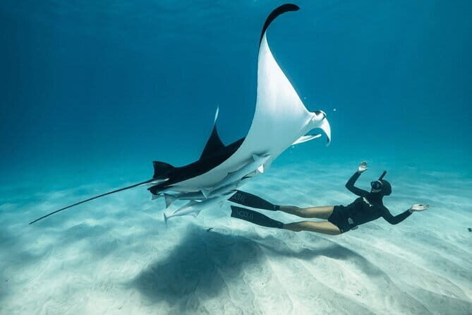 Snorkeling 3 Spots with GoPro & West Coast Tour Nusa Penida - Key Points