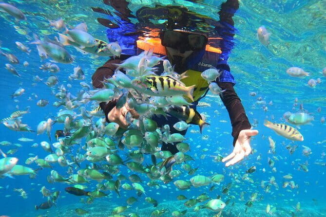 Snorkeling 3 Spots with GoPro & West Coast Tour Nusa Penida - Pricing & Value