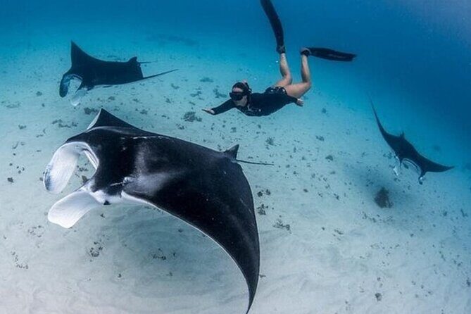 Snorkeling 4 Spot With Manta Bay Or Optional Land Trip - Introduction