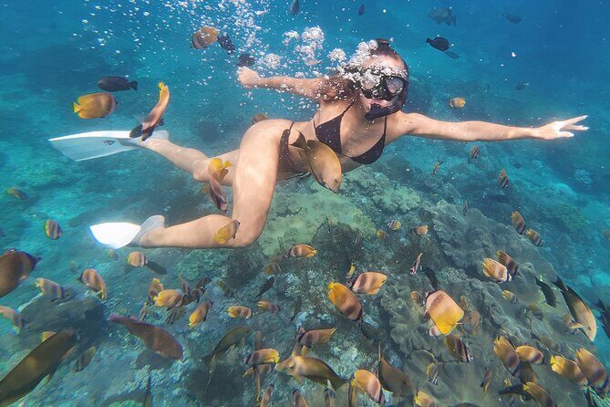 Snorkeling 4 Spot With Manta Bay Or Optional Land Trip - What to Expect During the Trip