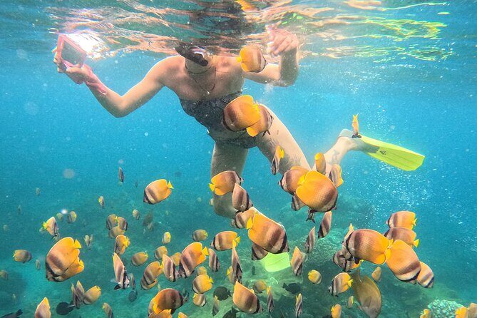 Snorkeling 4 Spot With Manta Bay Or Optional Land Trip - Who Should Consider This Tour?