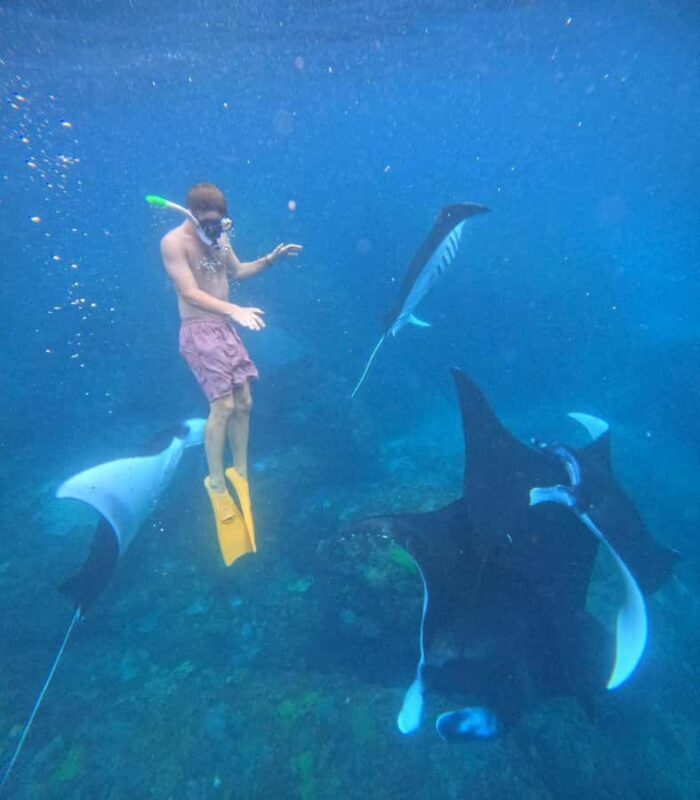 Snorkeling Activities + Western Side Nusa Penida Tour - The Experience Provider: Paradha Tour