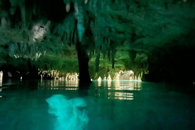 Snorkeling Activity in a Cenote Expedition - Authentic Feedback: What Travelers Say