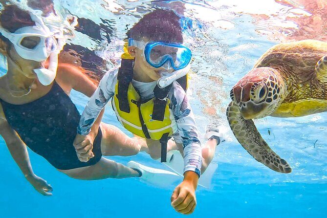 Snorkeling Activity in Okinawa Miyako Japan - The Encounter with Sea Turtles