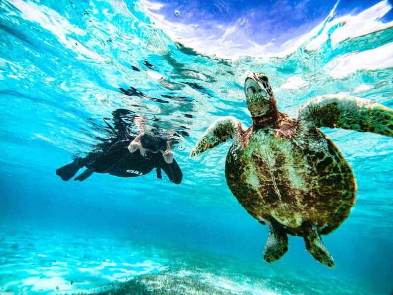 Snorkeling Activity in Okinawa Miyako Japan - An Honest Look at the Experience