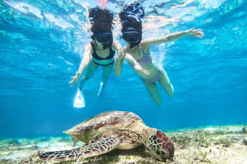 Snorkeling Activity in Okinawa Miyako Japan - A Day in the Water: The Itinerary