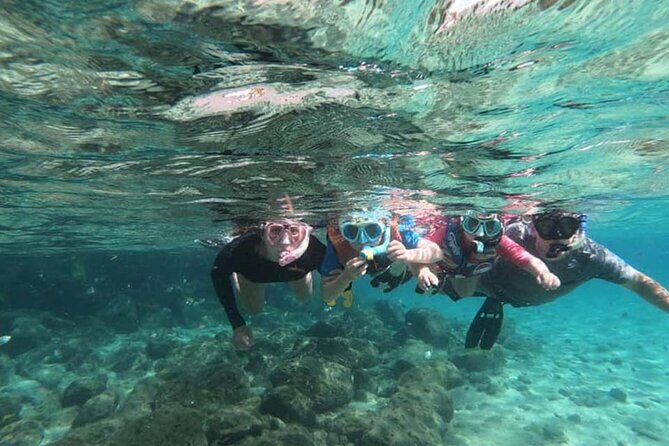 Snorkeling Activity on Turks and Caicos Islands - Potential Drawbacks