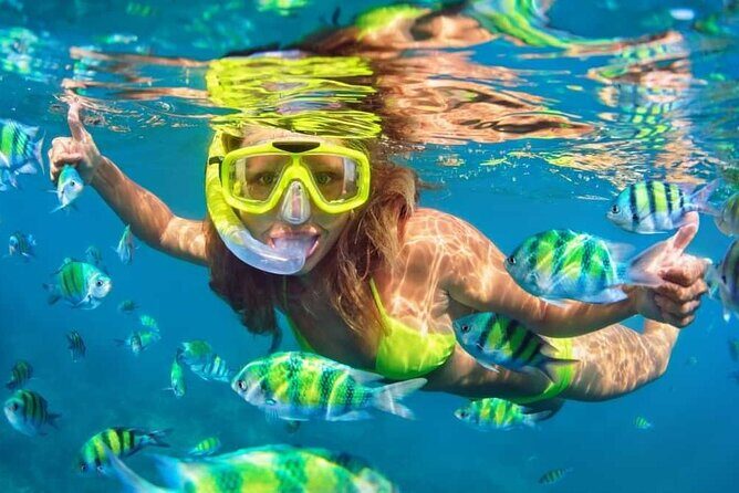 Snorkeling Activity on Turks and Caicos Islands - What We Heard from Other Travelers