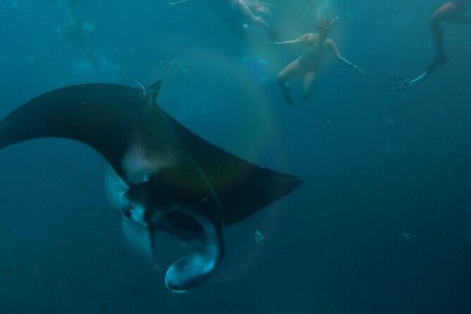 Snorkeling Activity Trip at Nusa Penida - Key Points