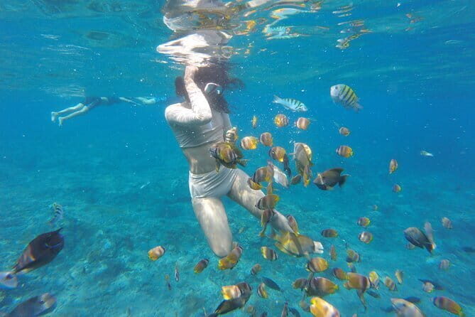 Snorkeling Activity Trip at Nusa Penida - Introduction: What to Expect from This Snorkeling Trip