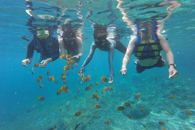 Snorkeling Activity Trip at Nusa Penida - What’s Included and What’s Not