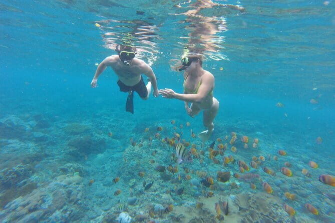 Snorkeling Activity Trip at Nusa Penida - The Sum Up